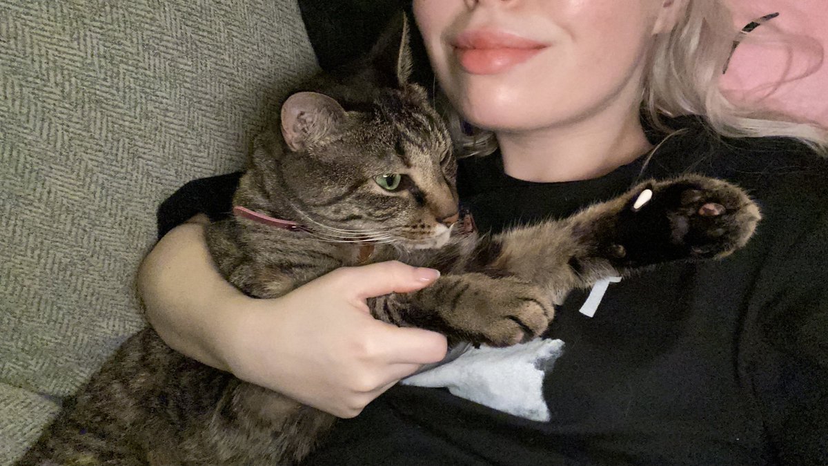 my sweet baby angel meow meow 🐈 𝒽𝒶𝓁𝑒𝓎 🌸 @haleyspades