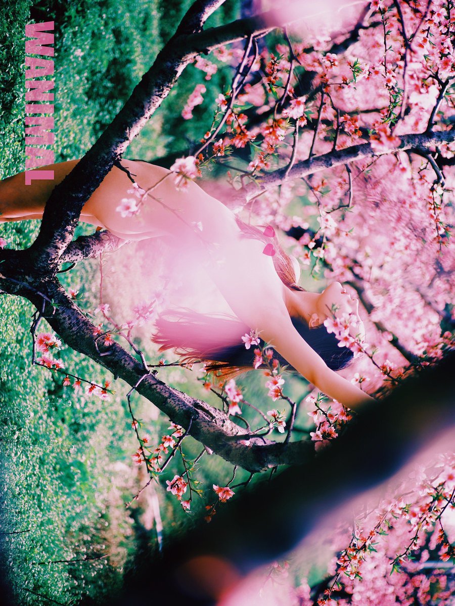 WANIMAL on Twitter: "peach blossom @qinweiyingjie…
