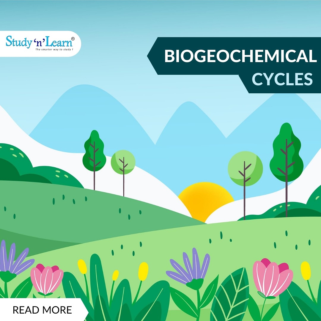 Biogeochemical Cycles Water
