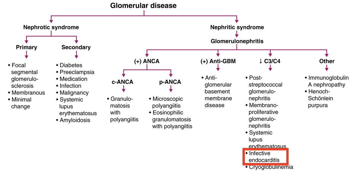 I’m playing @tablerounds with echocardiogram, abscess, proteinuria, CKD ...