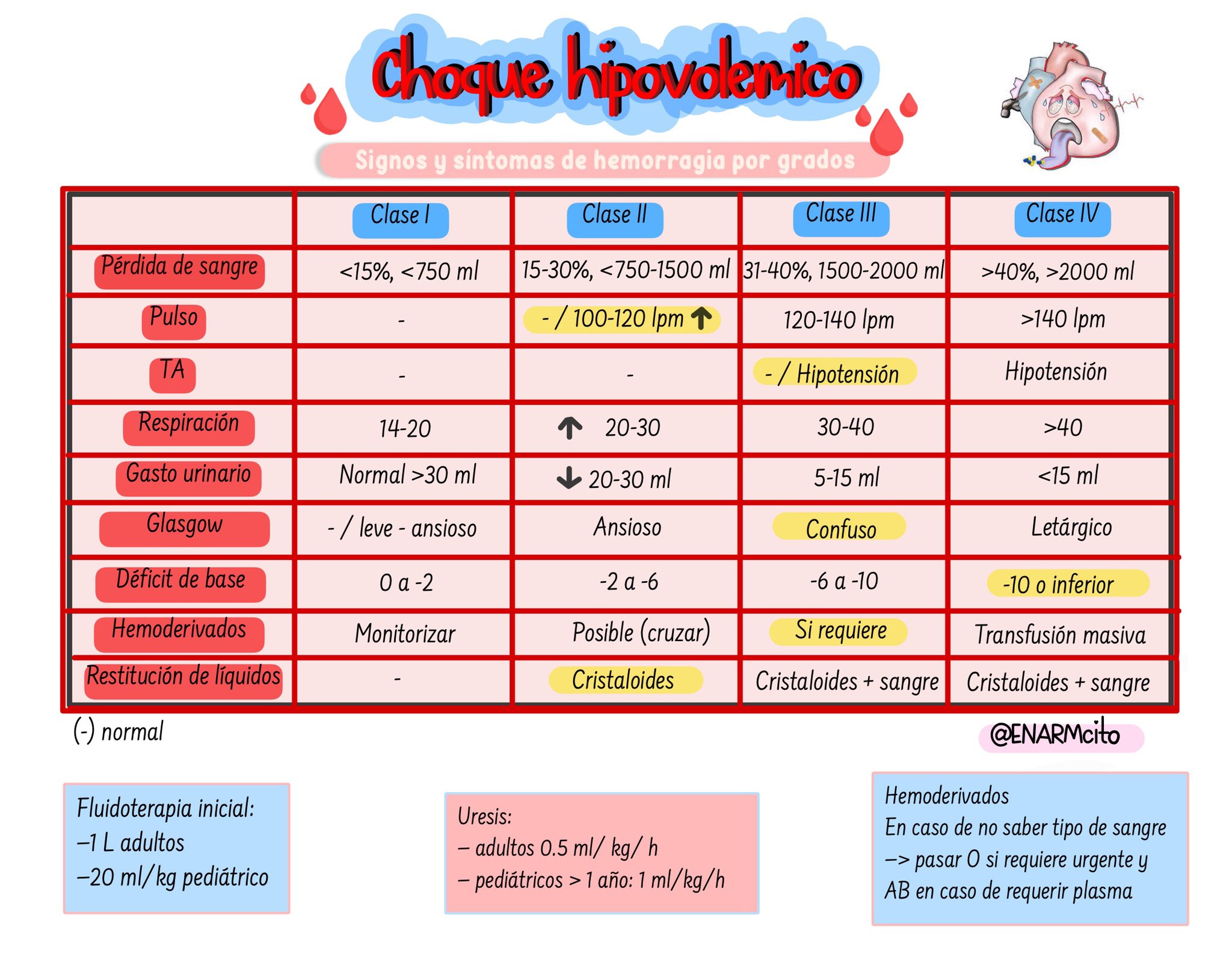 Sintomas De Choque Hipovolemico Palta 6