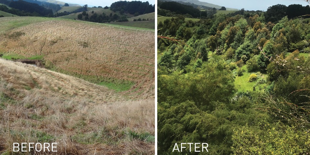 Environmental Destruction Before And After