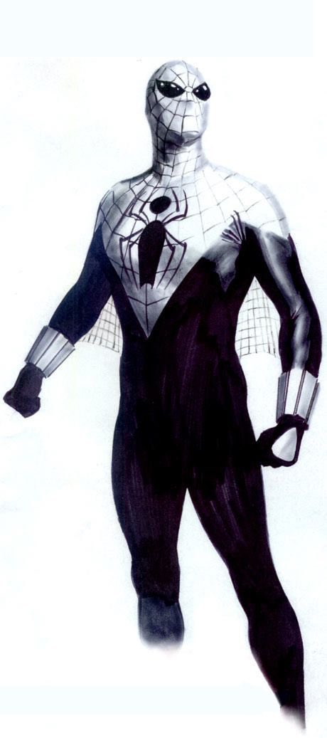 Alex Ross Spiderman Costume