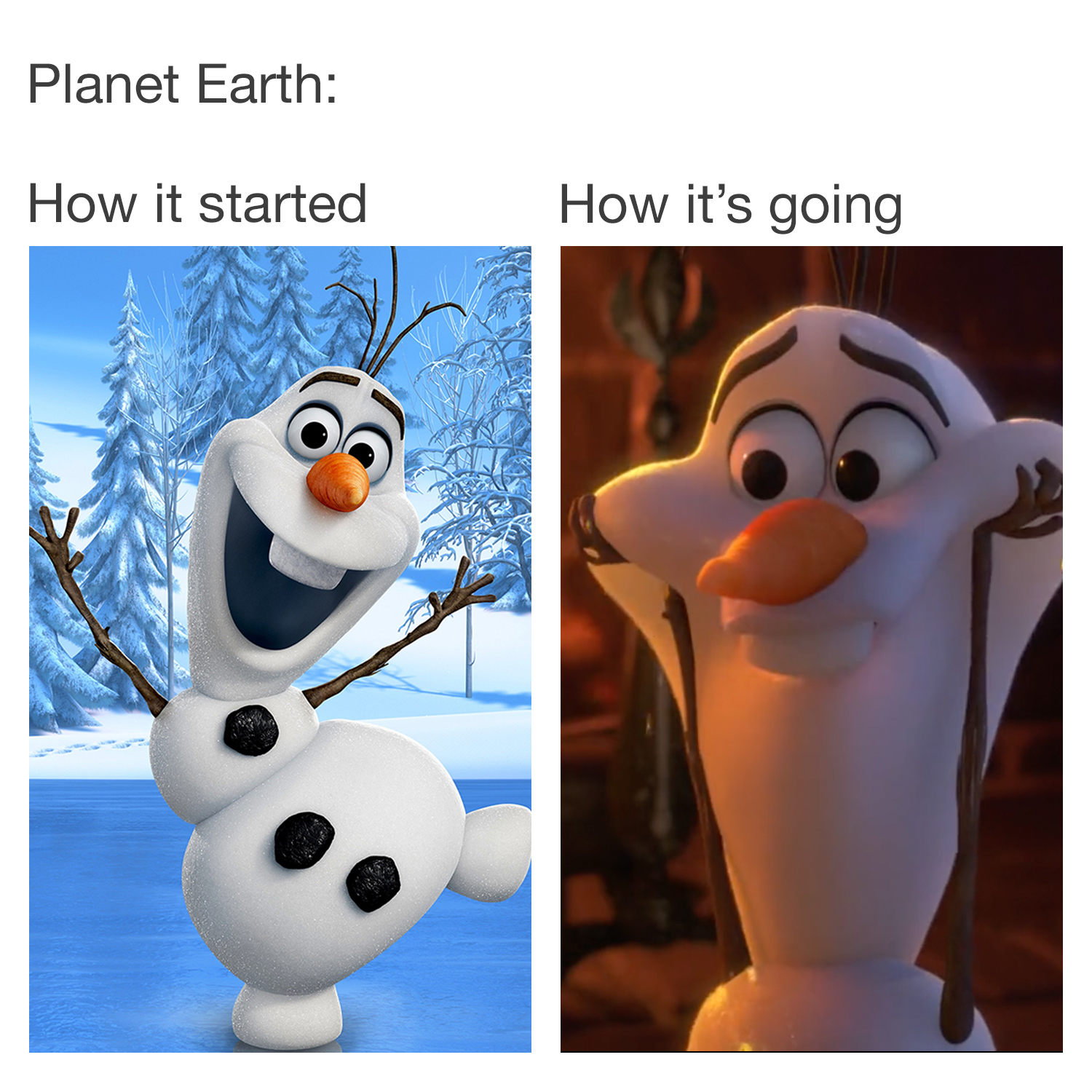 Frozen Snowman Memes