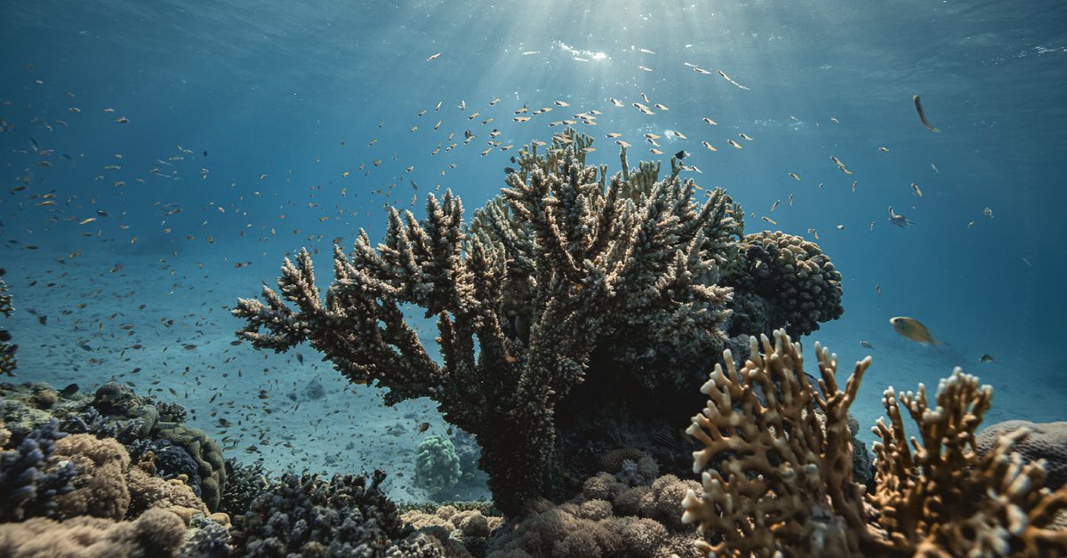 Today is #EarthDay2021 – an important day to focus on how we can ...