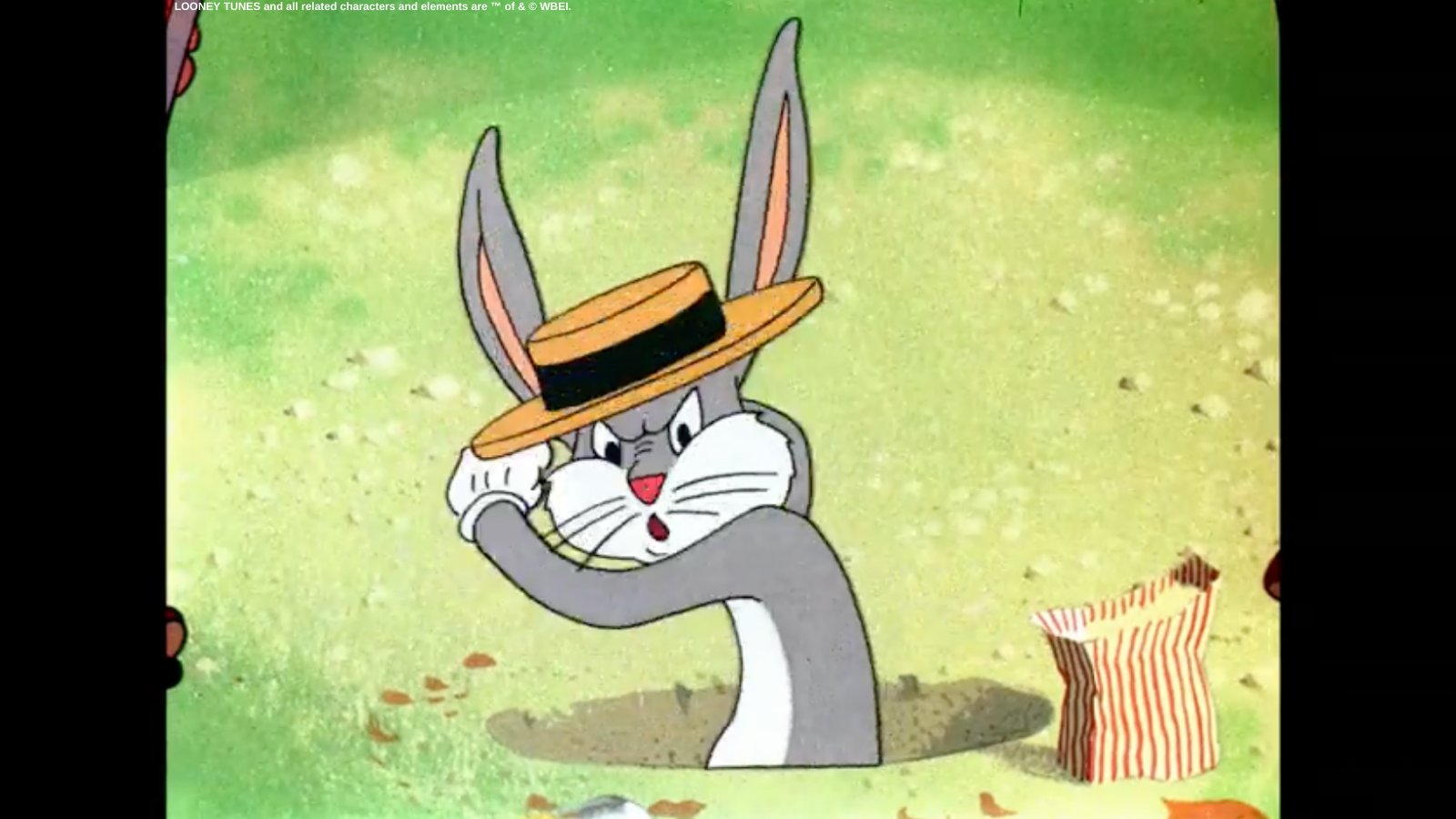 Bugs Bunny Baseball Cartoon Characters