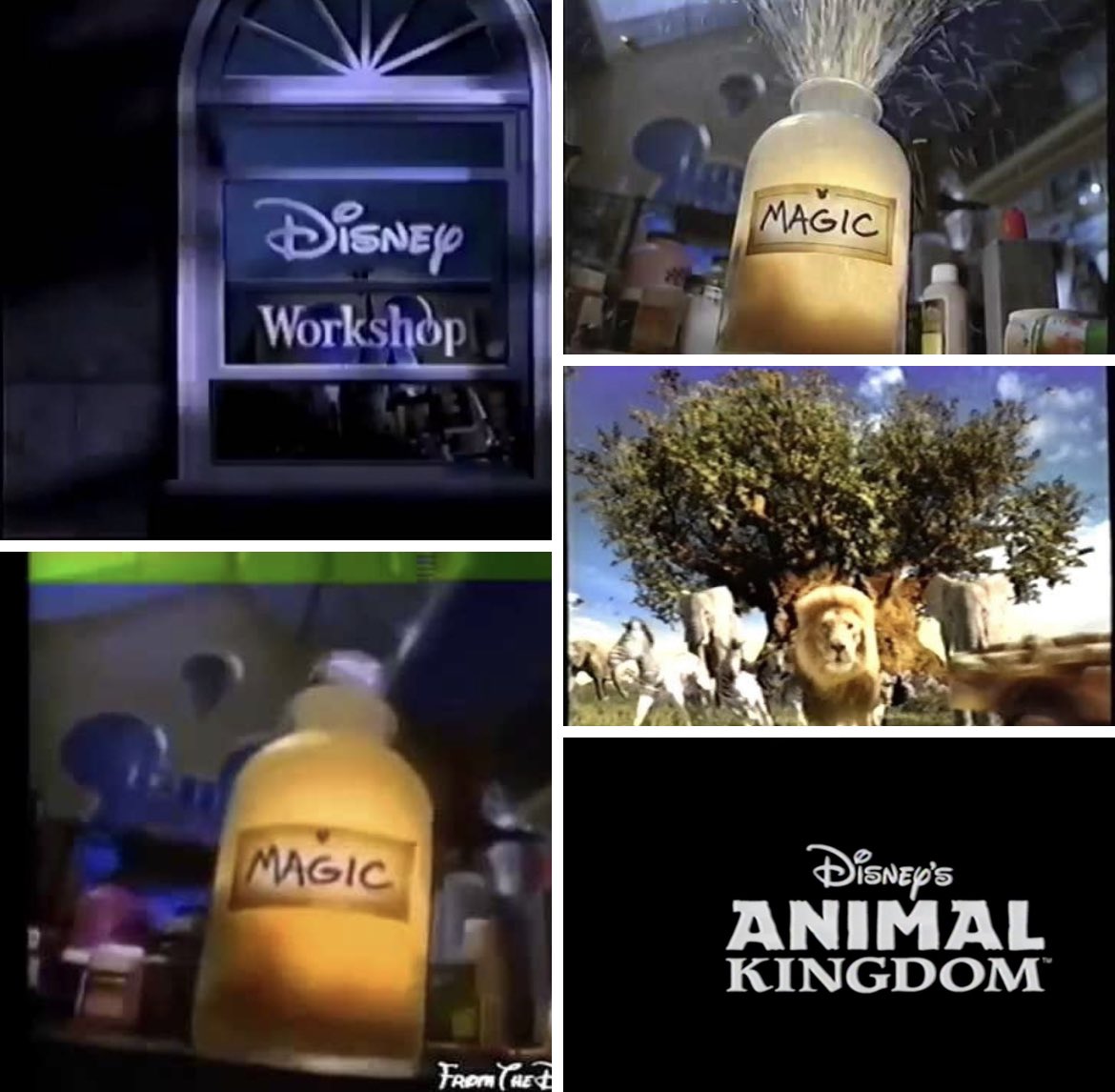 Disney Workshop 1998