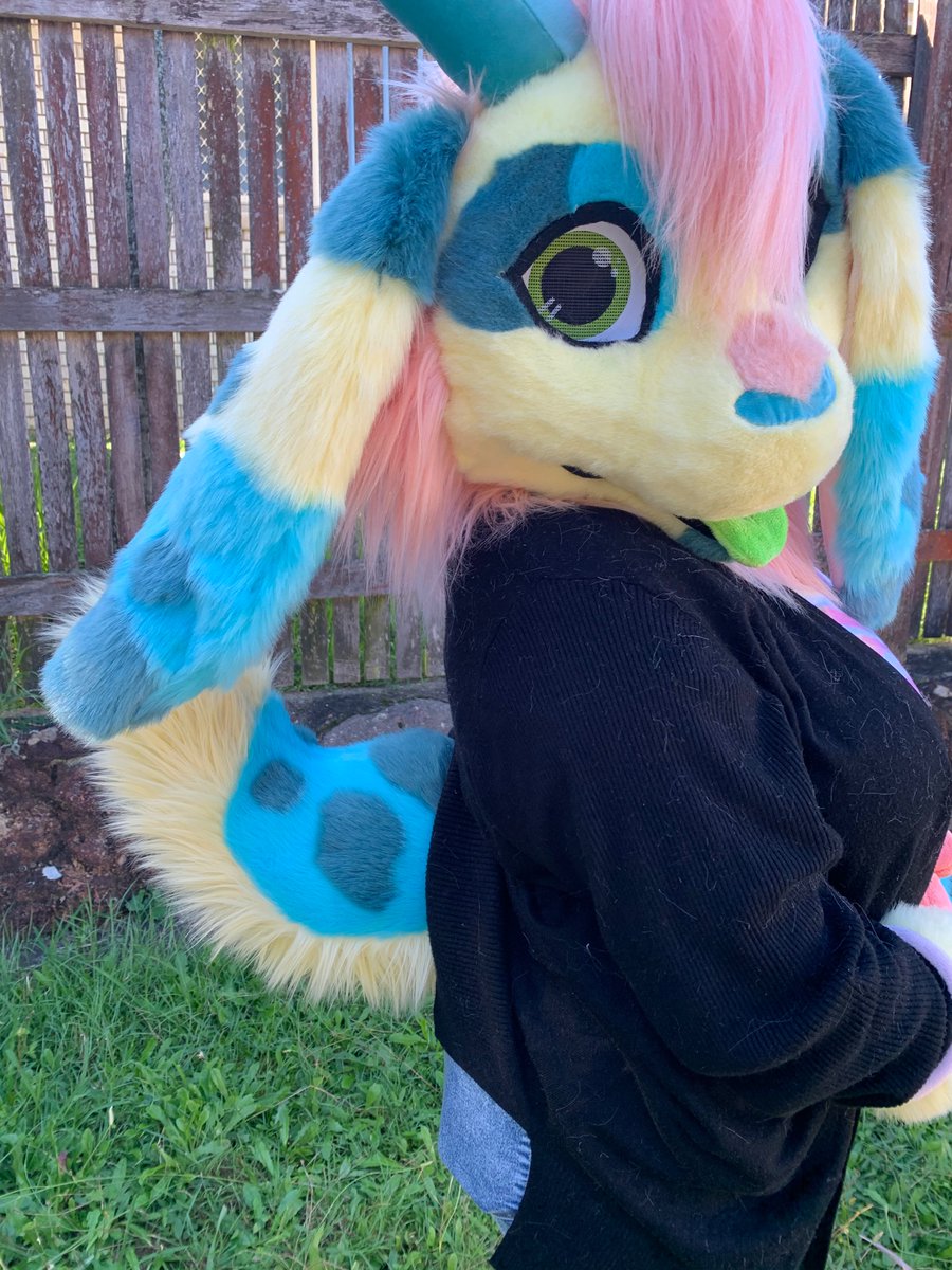 🐺 Skyehighstudios 🐺 🔜GOH Furdu 2021🥳 (@Skyehighstudios) | Twitter