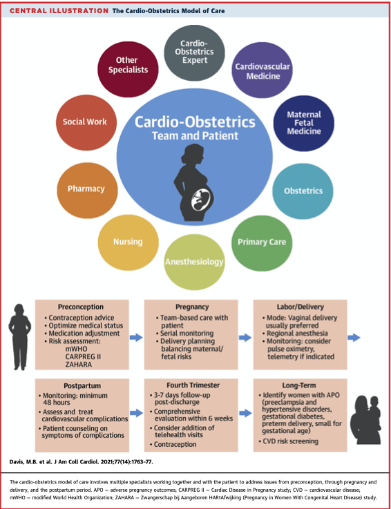 The growing intersection between the fields of Cardiology and ...