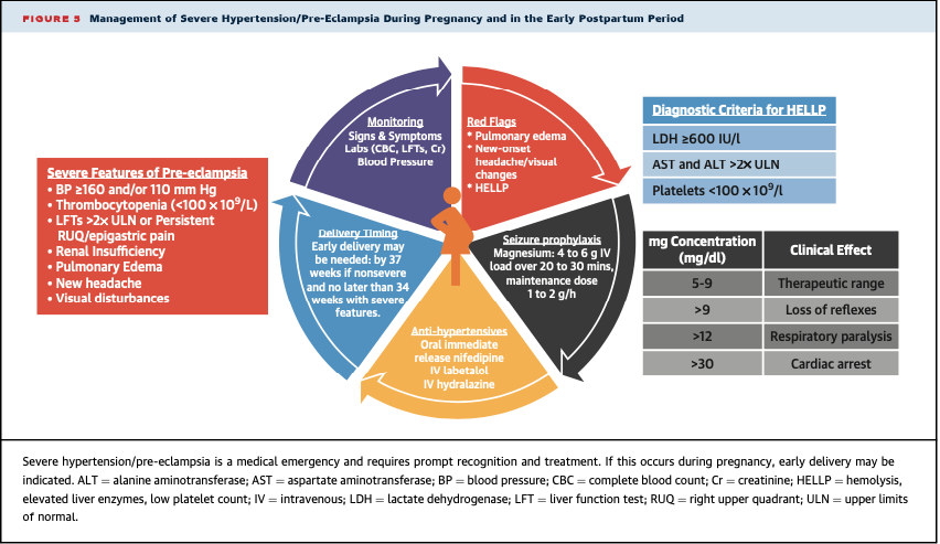 The growing intersection between the fields of Cardiology and ...