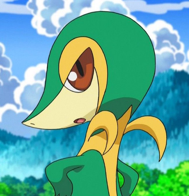 ⋆⸜(ू˙꒳ ˙ ) on Twitter: "since ash’s old mons are returning PLS SHOW BEST GIRL SNIVY I miss her ...