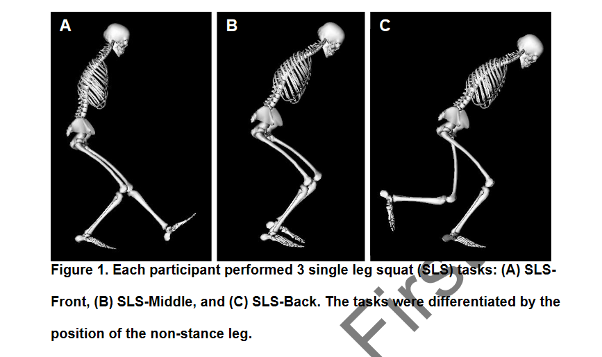 Single Leg Figure 4 Squat