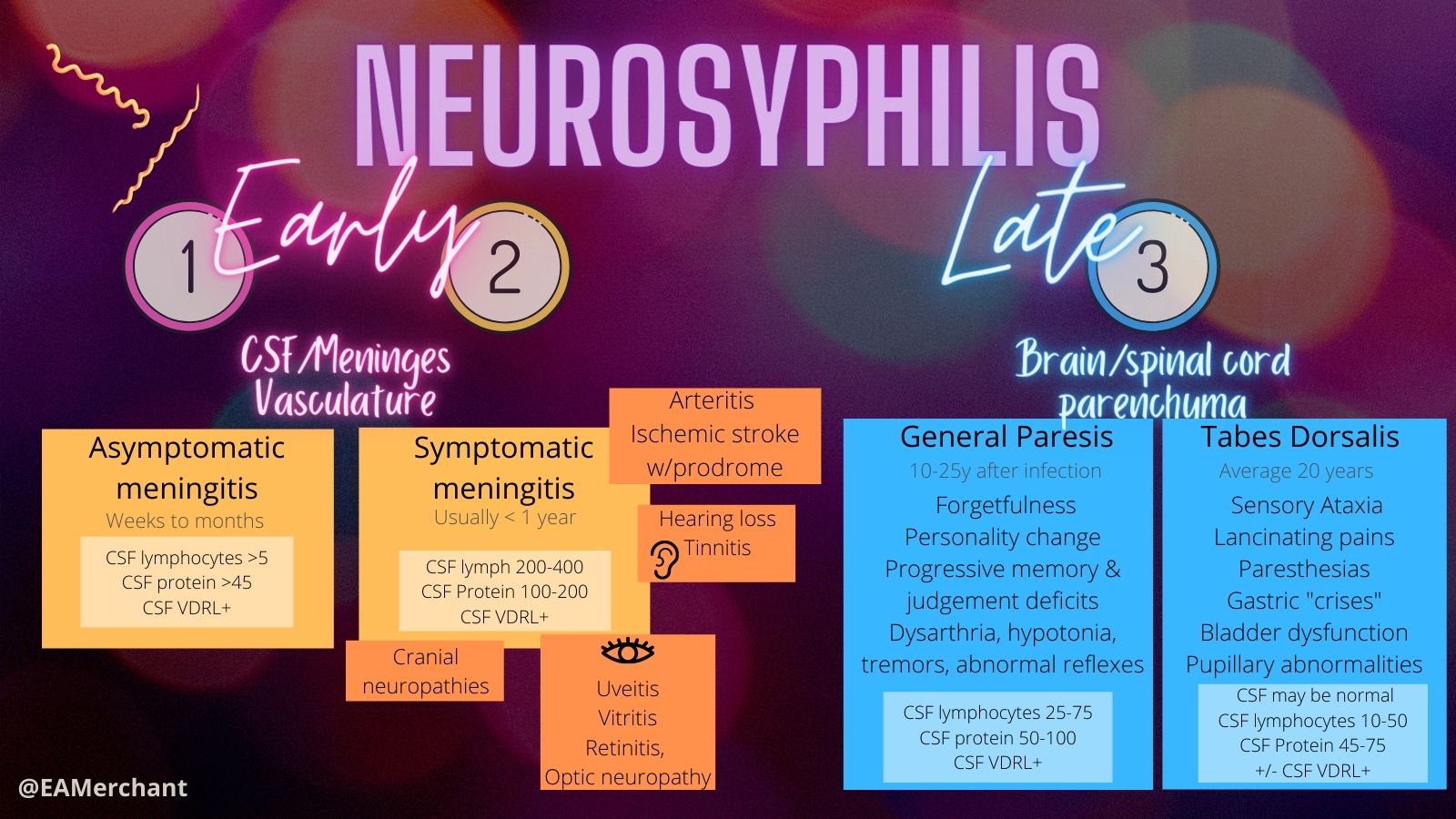 Tertiary Syphilis Spinal Cord