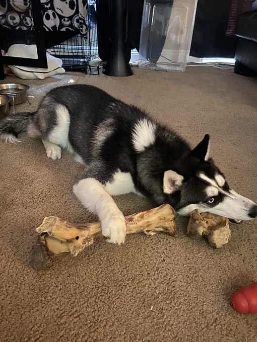 TW Pornstars - Nami Has A Small Ween. The most liked pictures and ...