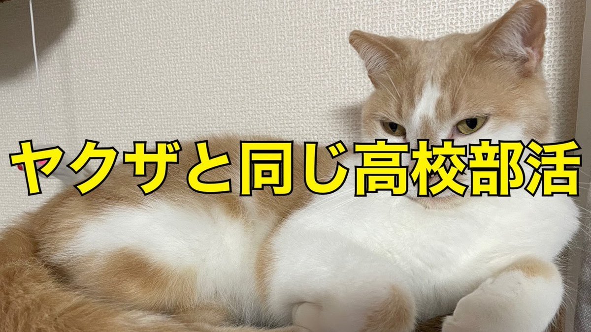 🄲🄰🅁 ★ 🄻🄰 @ アワモン な 鳥者 On Twitter 【みんなで考えよう】 学校の部活動を地域に移す改革が進行中── その