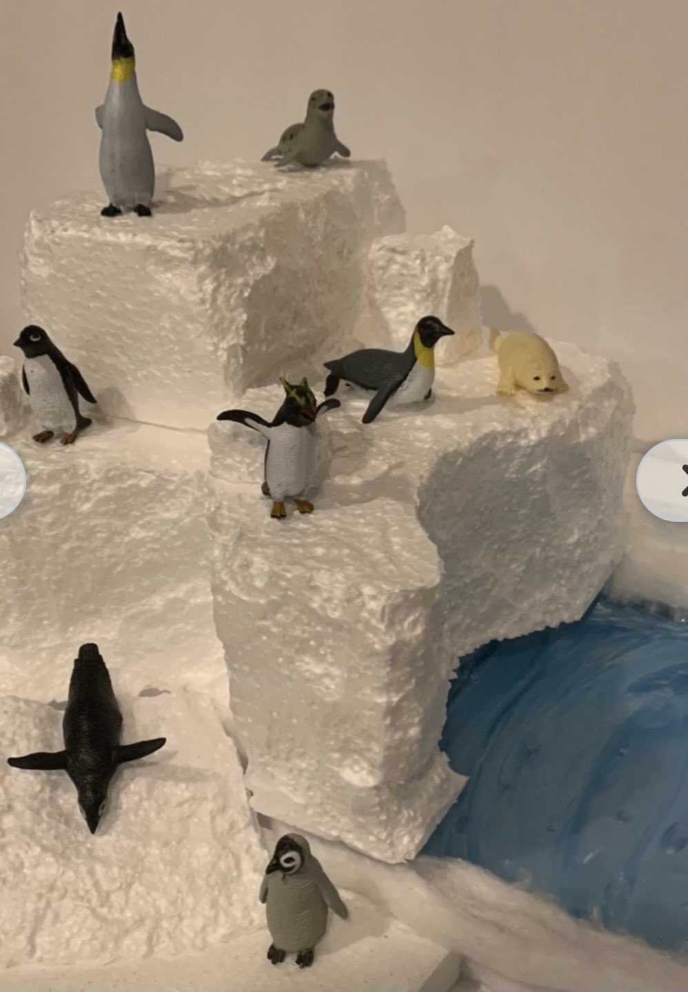 Emperor Penguin Habitat Diorama