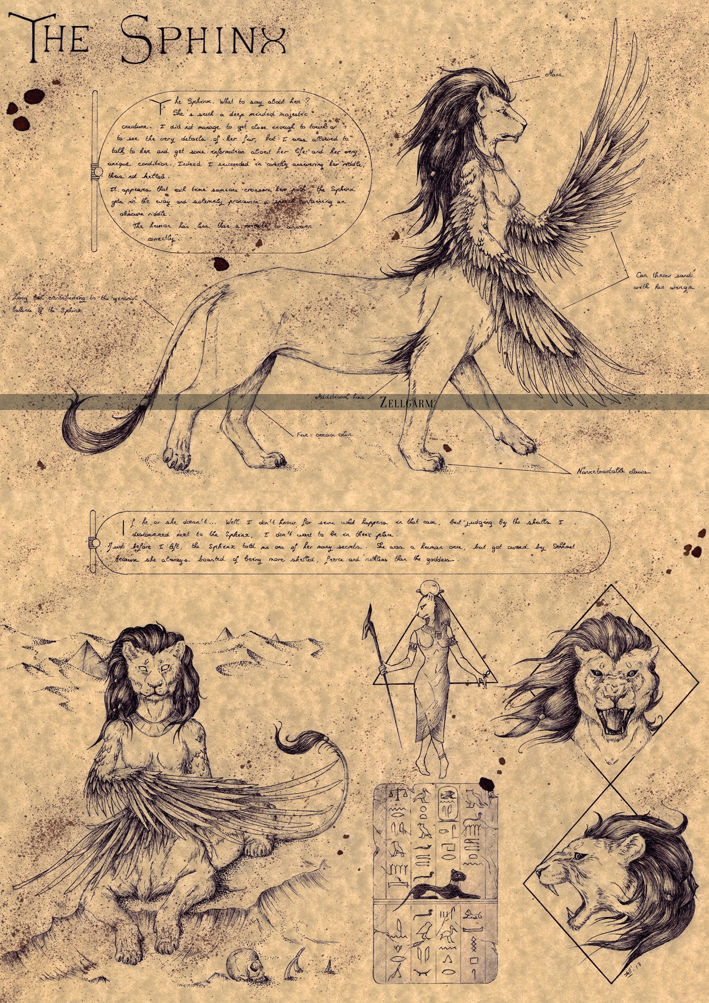 Sphinx Mythical Creature Drawing