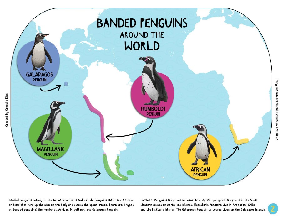 Map Of Where African Penguins Live UKAHT Can You Name The 18 Species