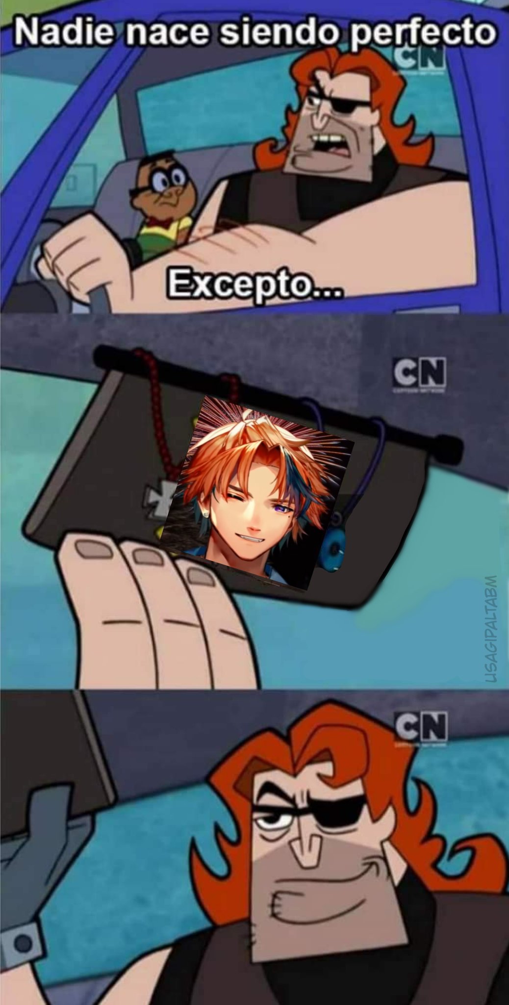 Perfecto Correcto Entiendo Memes