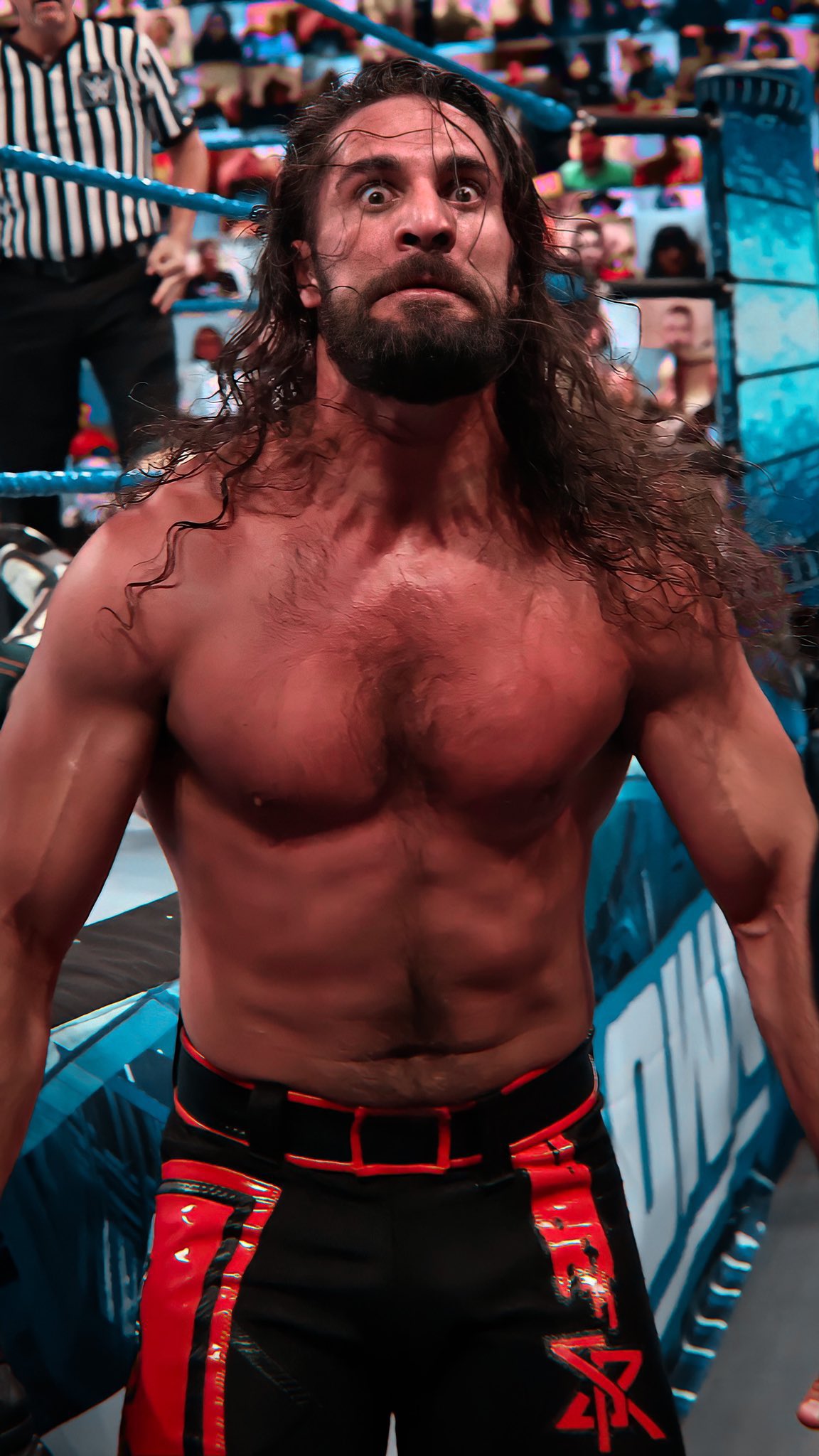 Meme Di Seth Rollins