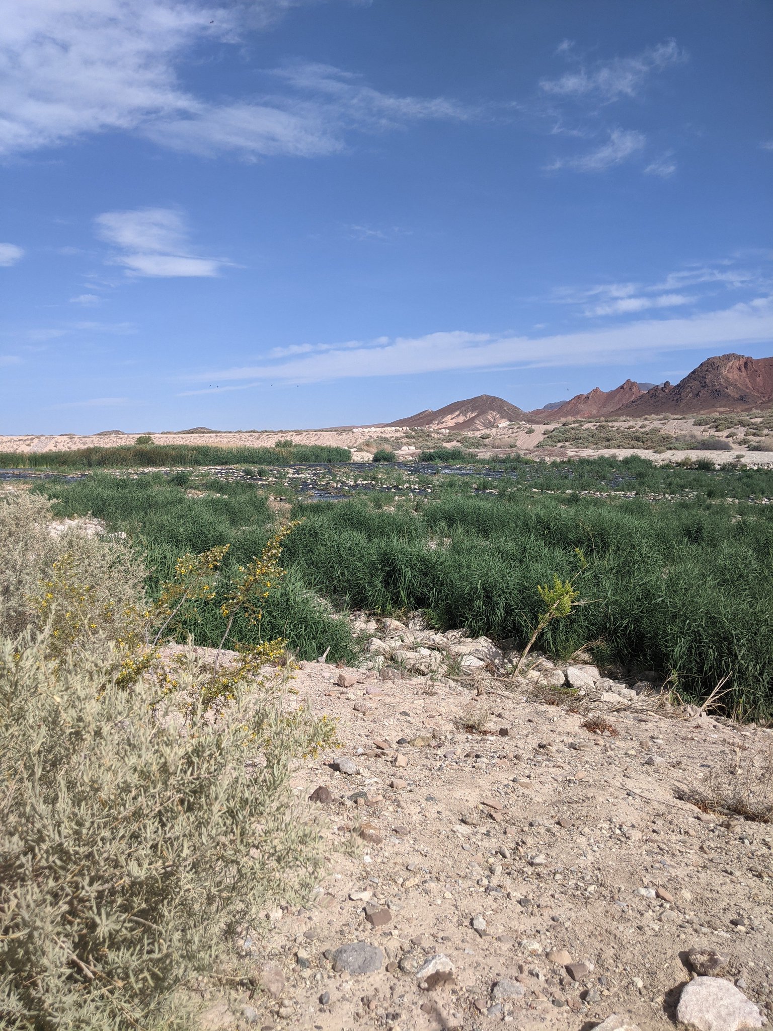 TW Pornstars - Erica Bannon. Twitter. This is my favorite gym. 6:48 PM ...