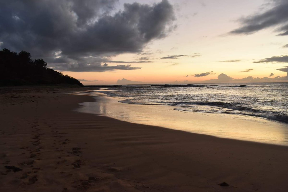 Nicholas Dickie (@DickieNicholas) | Twitter