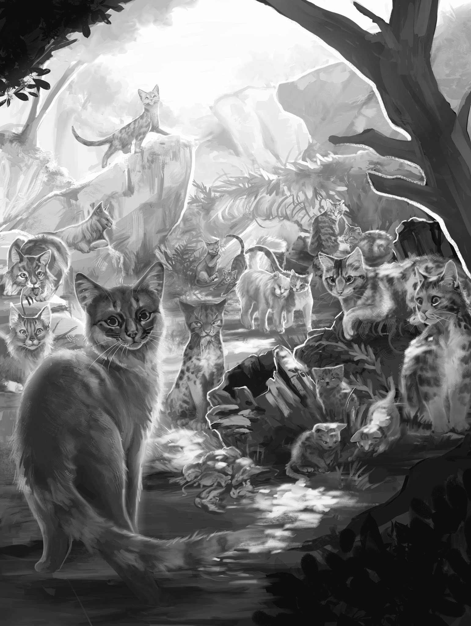 Warrior Cats Background