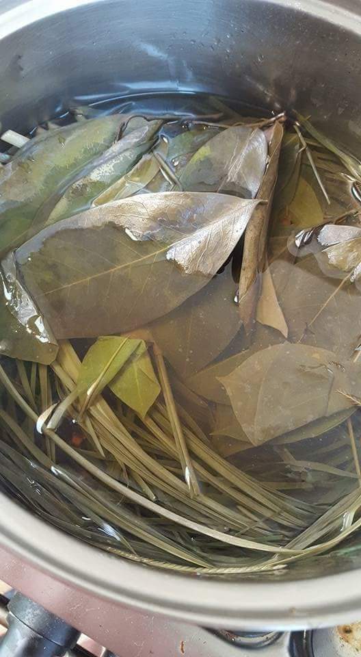 AMAZING HEALTH BENEFITS OF MANGO LEAVES For centuries; traditional ...