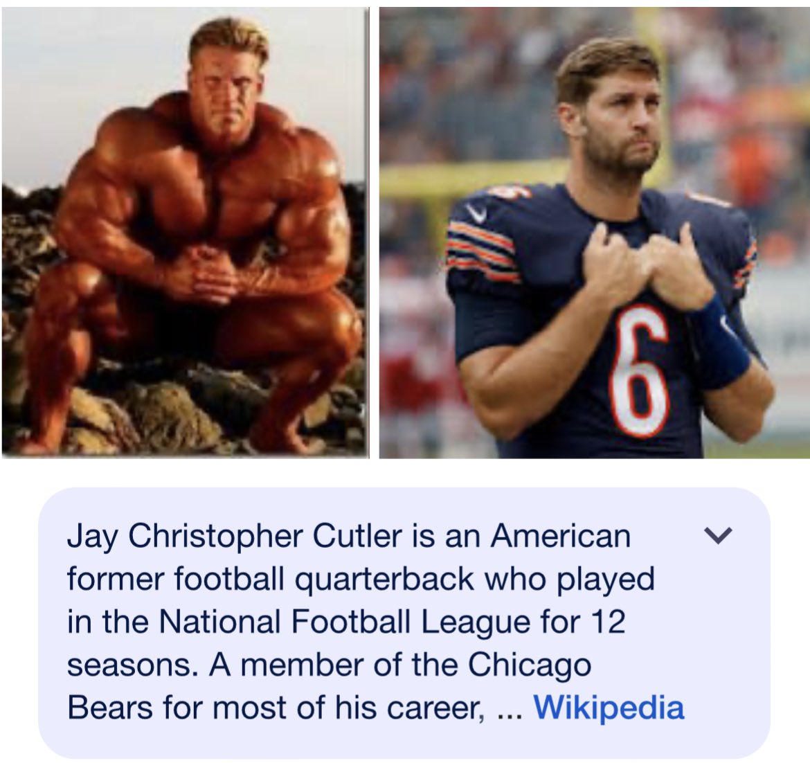 J Cutler Memes Hilarious Jay Cutler Mural Surfaces In Chicago And It's