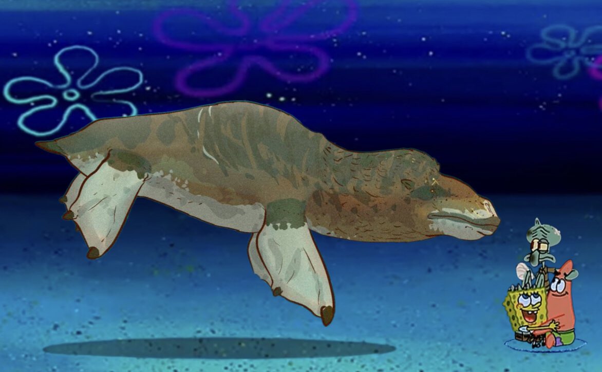 Bear Shark Spongebob