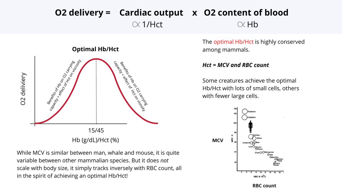 1/2 OPTIMAL Hb/Hct Evolution has selected for an optimal Hb/Hct, which ...