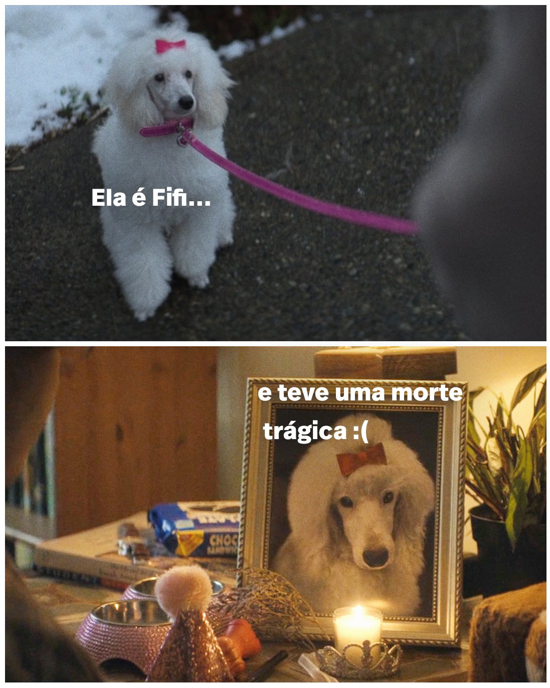 Memes Sobre Fifi
