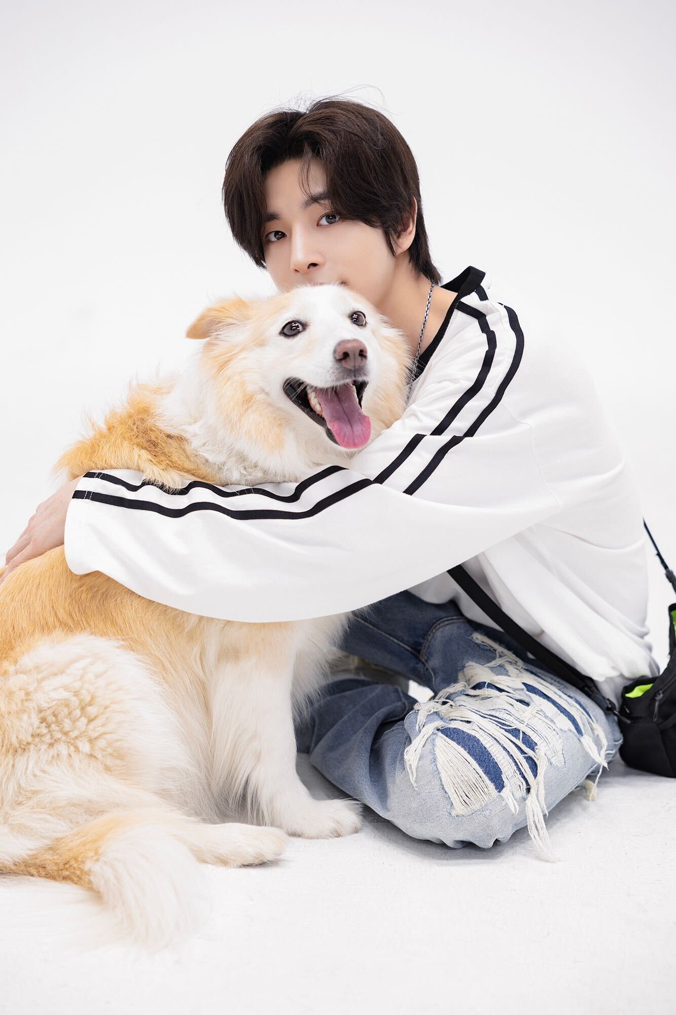 Jake De Hond Puppy's Jake | Adventure Time Wiki | Fandom