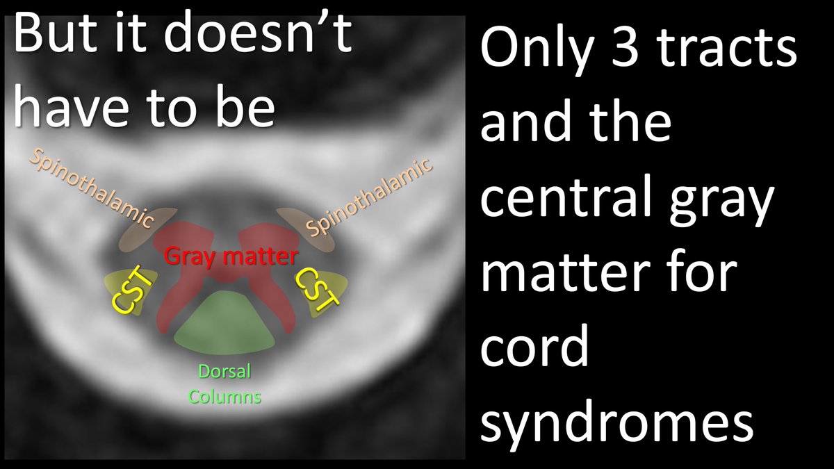 Thread by @teachplaygrub on Thread Reader App – Thread Reader App