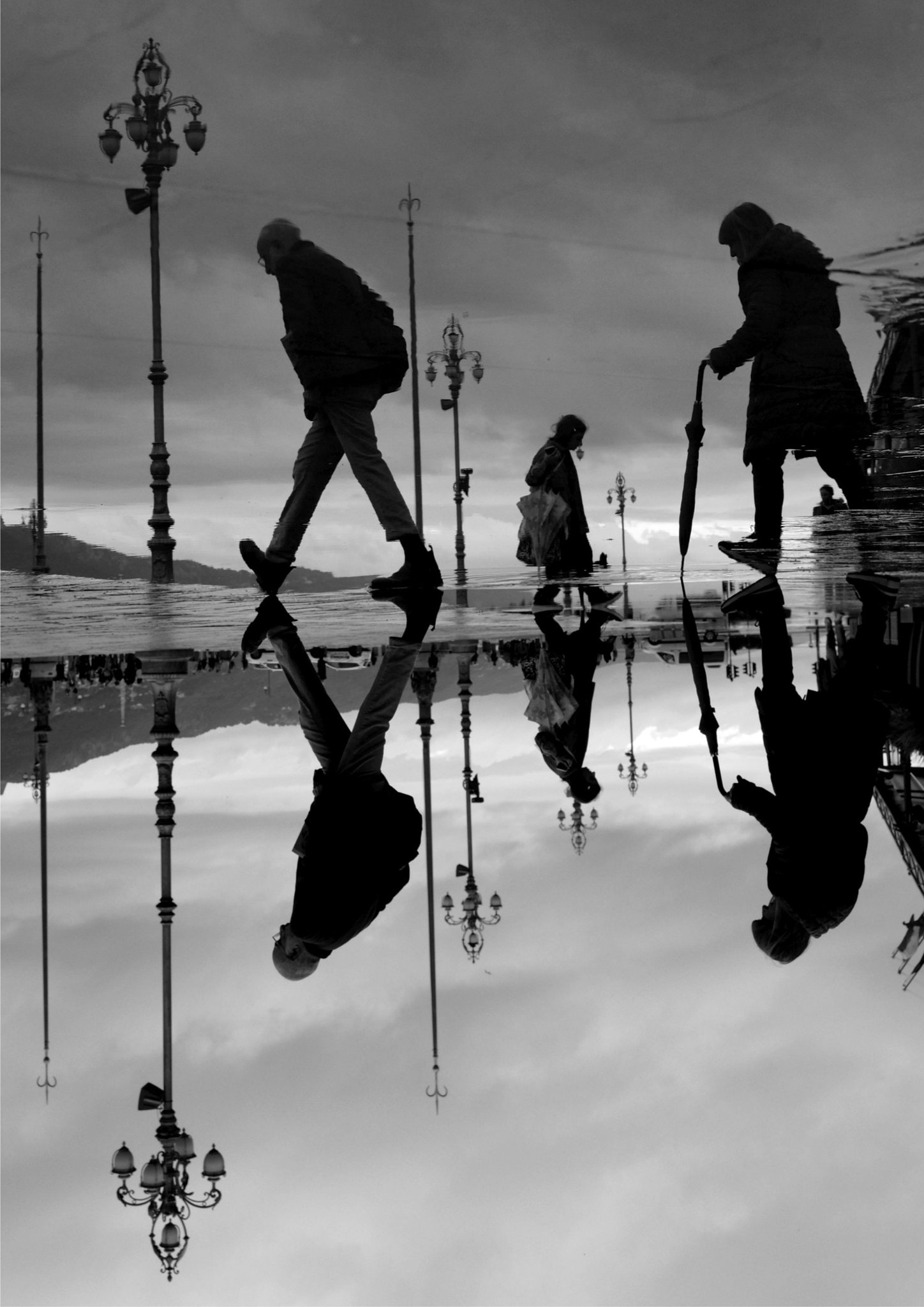 Terrastar Internazionale Del 2023