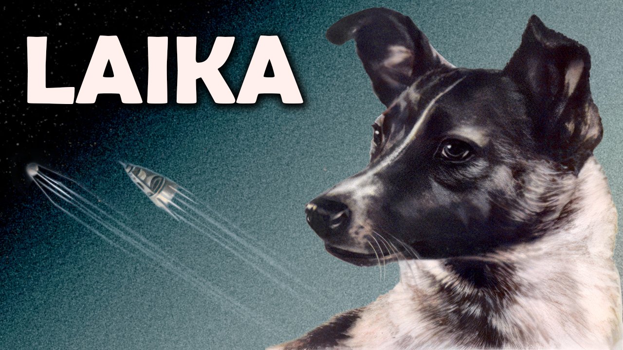 When Did Laika The Dog Go To Space