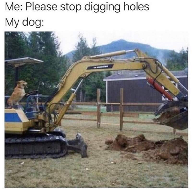 Ditch Digging Memes Digging Hole Images – Browse 49,162 Stock