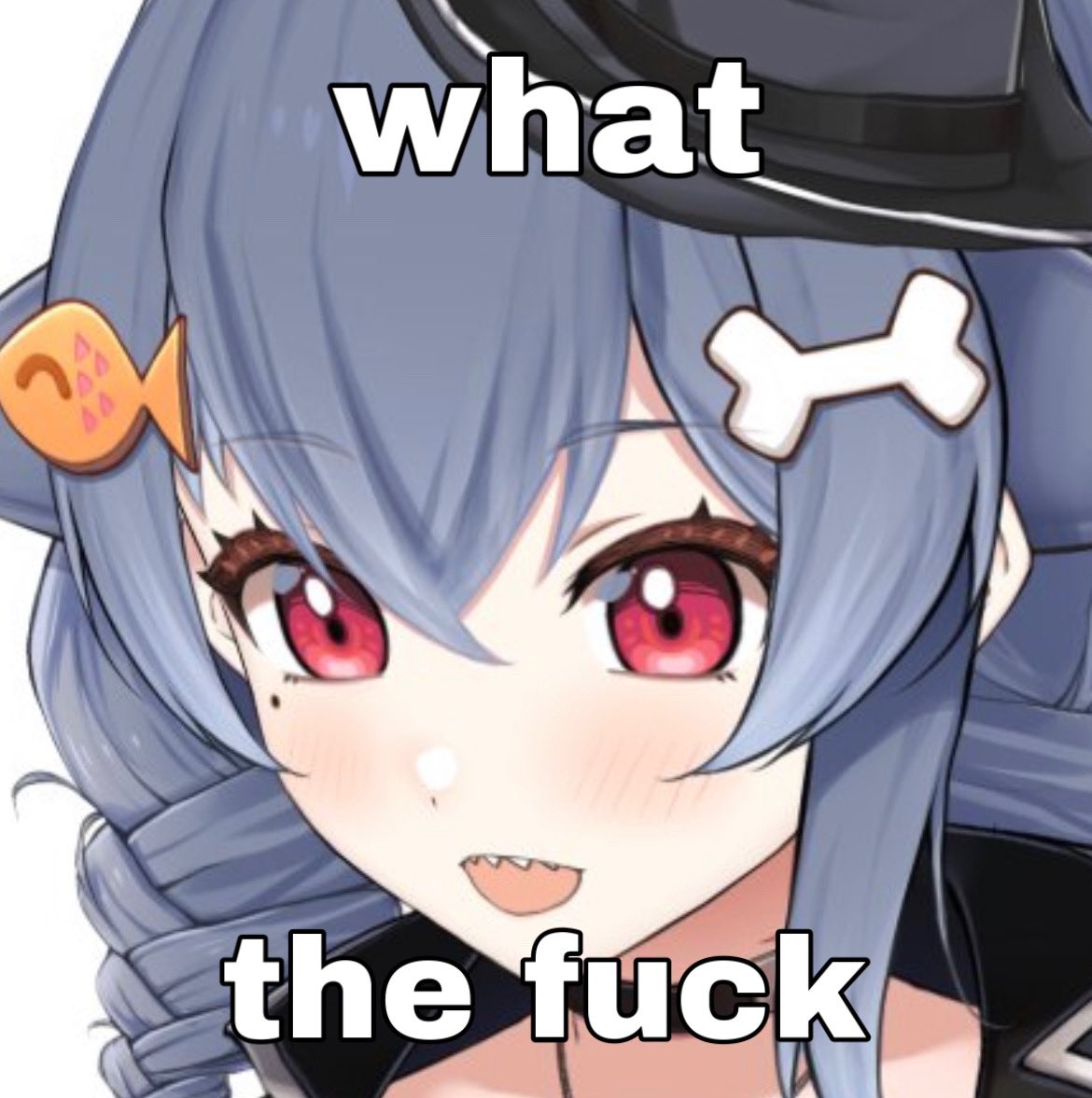 「like puppy 」🦈🦴 mako sameshima ! / 鮫島メイコの漫画