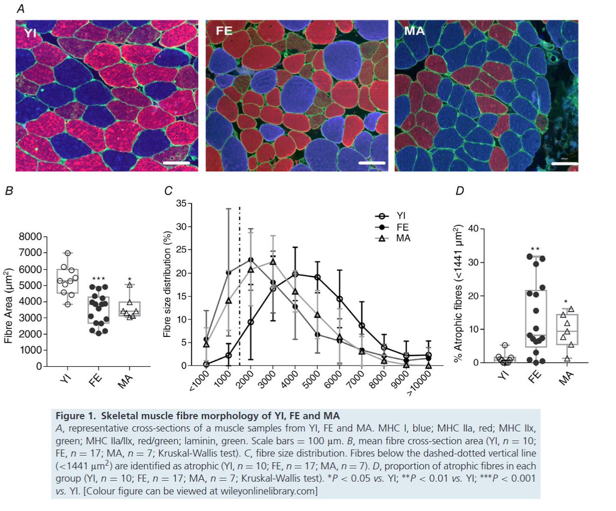 Strength training vs. endurance training for healthy aging As we get ...