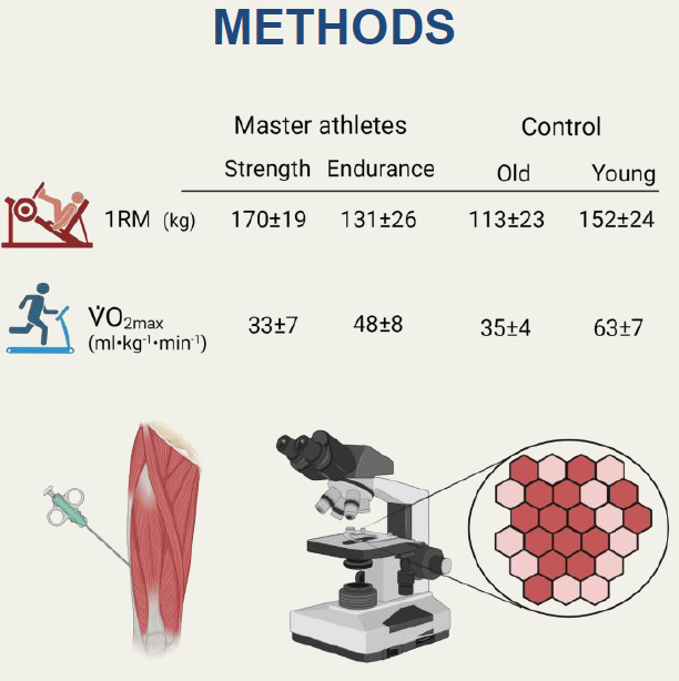 Strength training vs. endurance training for healthy aging As we get ...