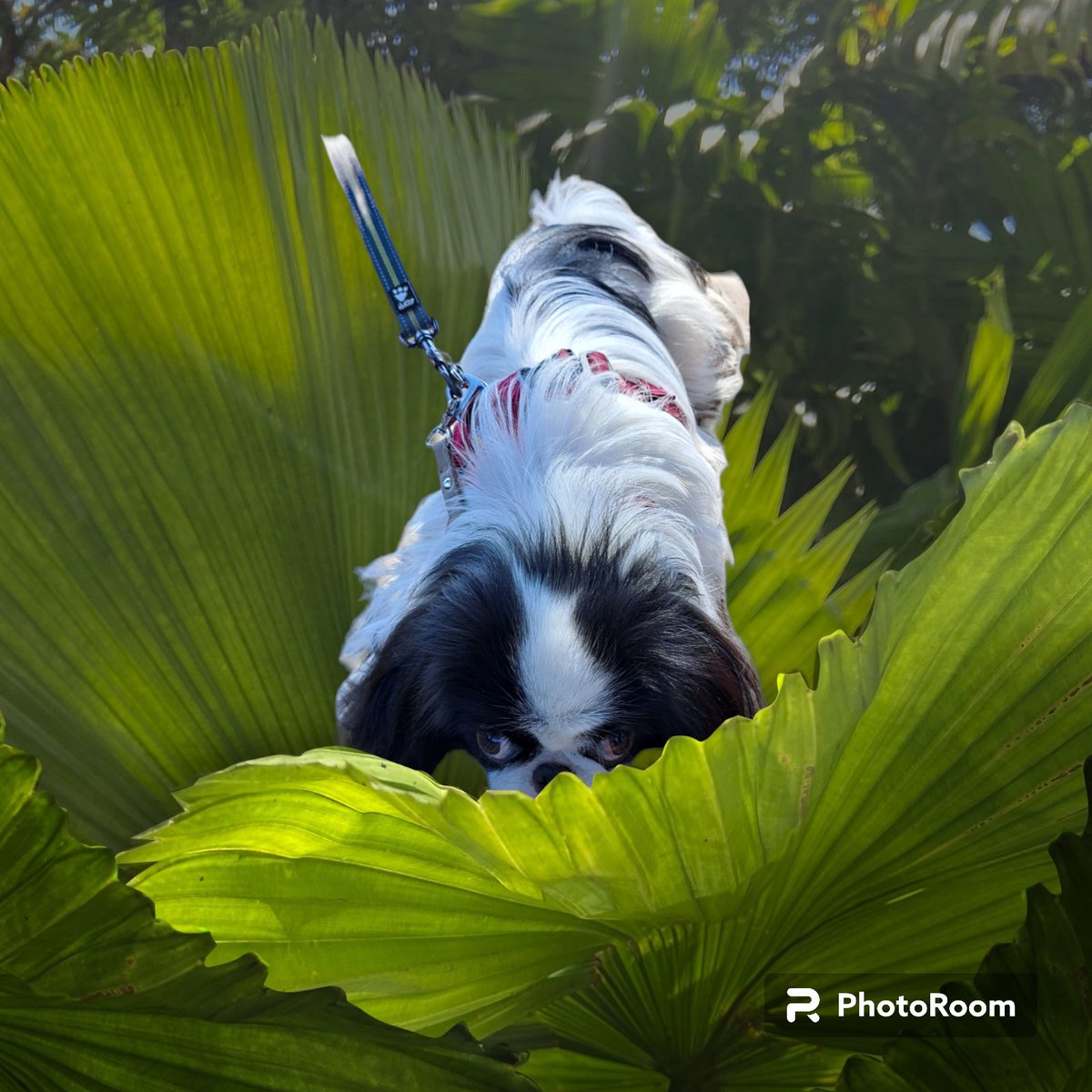 もう(@moozan) - Twilog