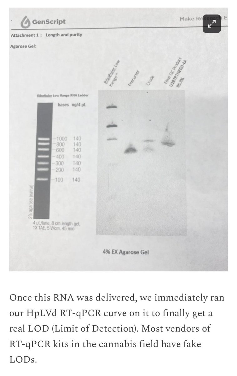 Thread by @Kevin_McKernan on Thread Reader App – Thread Reader App
