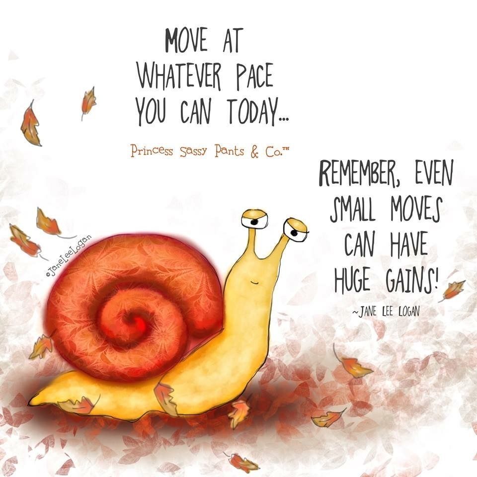 Snail Pace Memes Peace Archives Yoga Anatomy In Manchester A