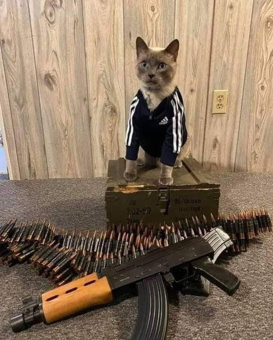 Cats With Machine Guns Cats With Human Jobs: 6 Feline Heroes And Icons
