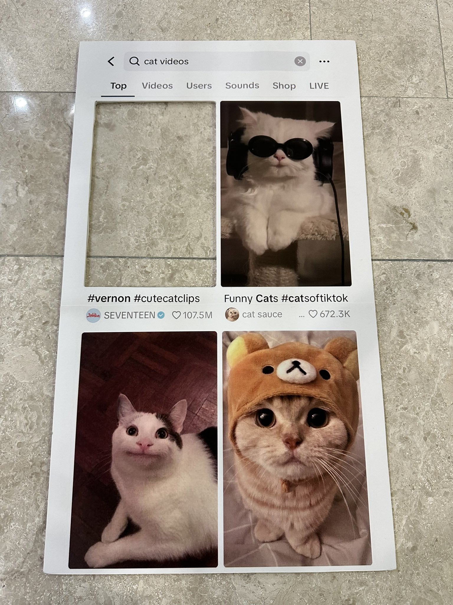 Overly Attached Cat Meme