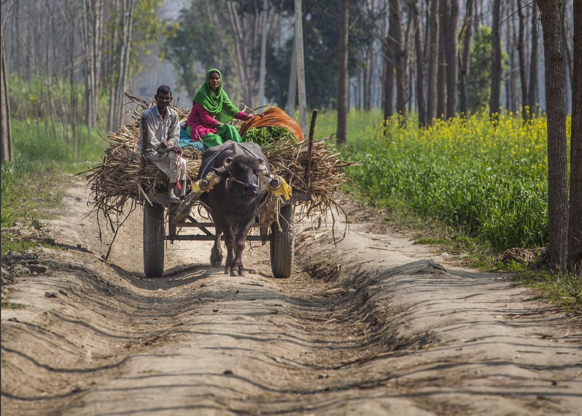 End the Global Food Crisis | SDG2 Advocacy Hub