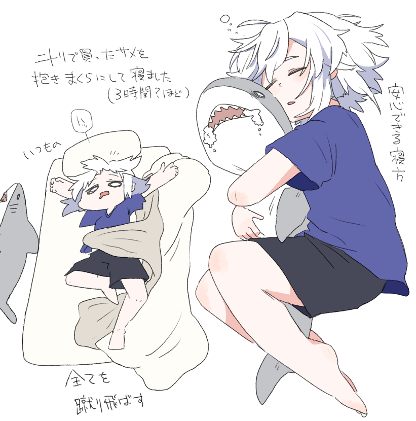 「即席日記 サメ抱きまくら」床の間Q C106(日)西1"む"02bの漫画