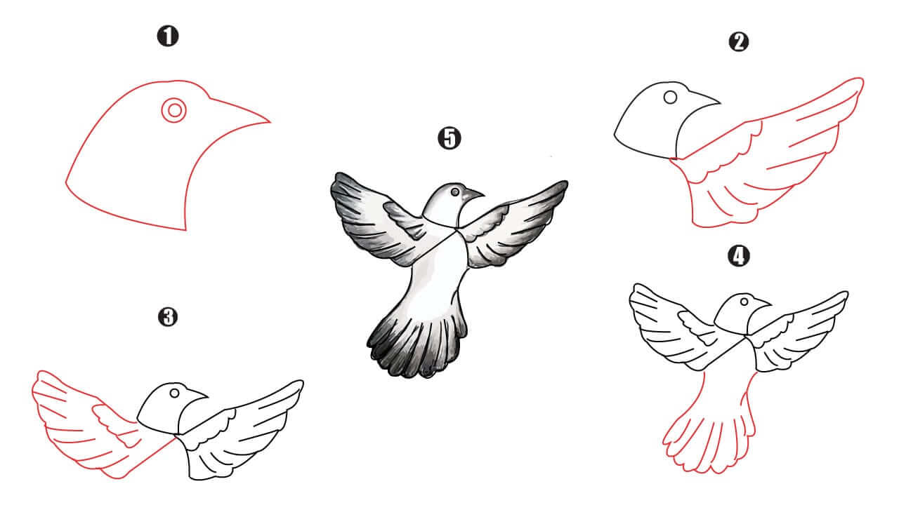 How To Draw Birds Easy Step By Step