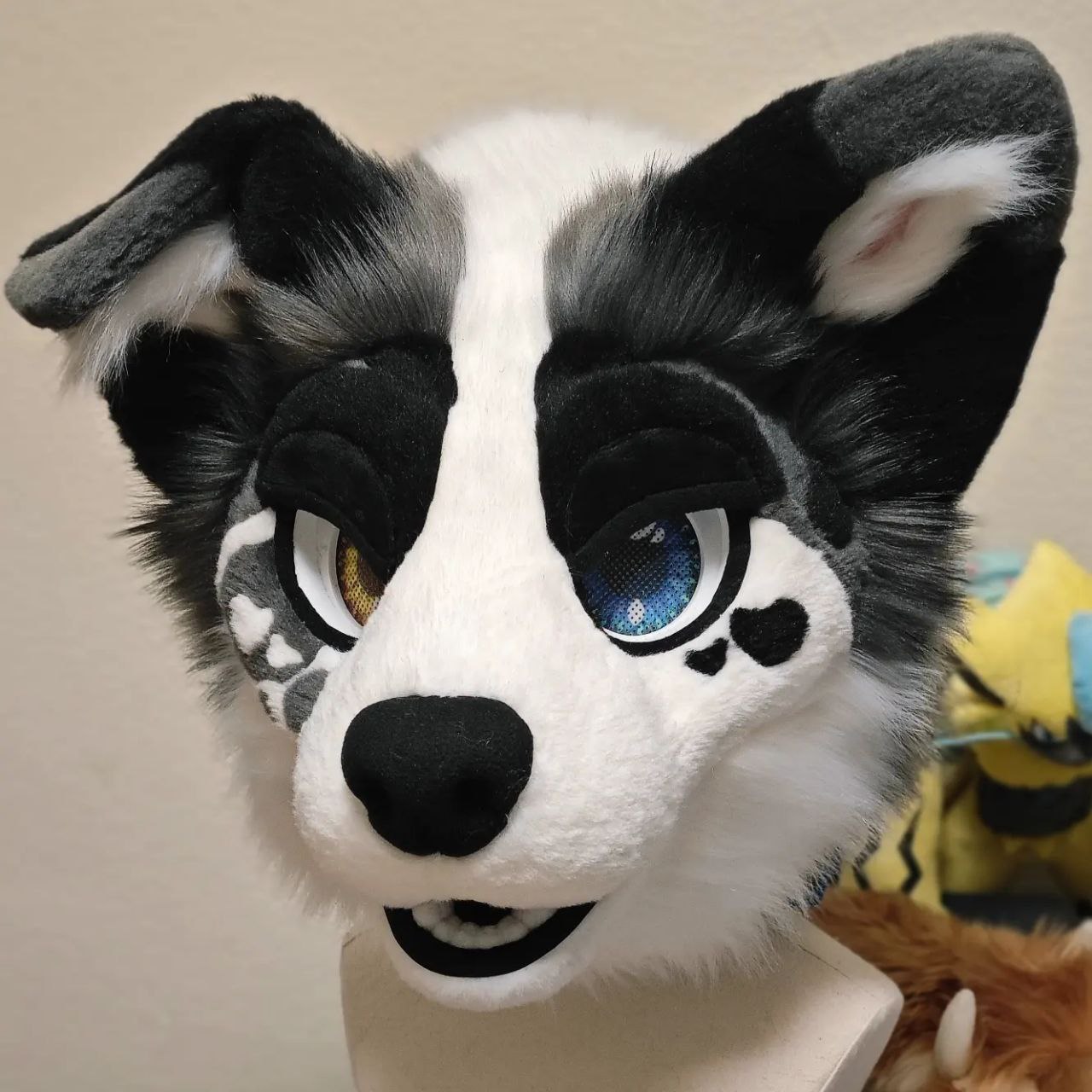 Assinatura Webkinz Border Collie Brinquedo Zee.Dog Mr. Fresco Para