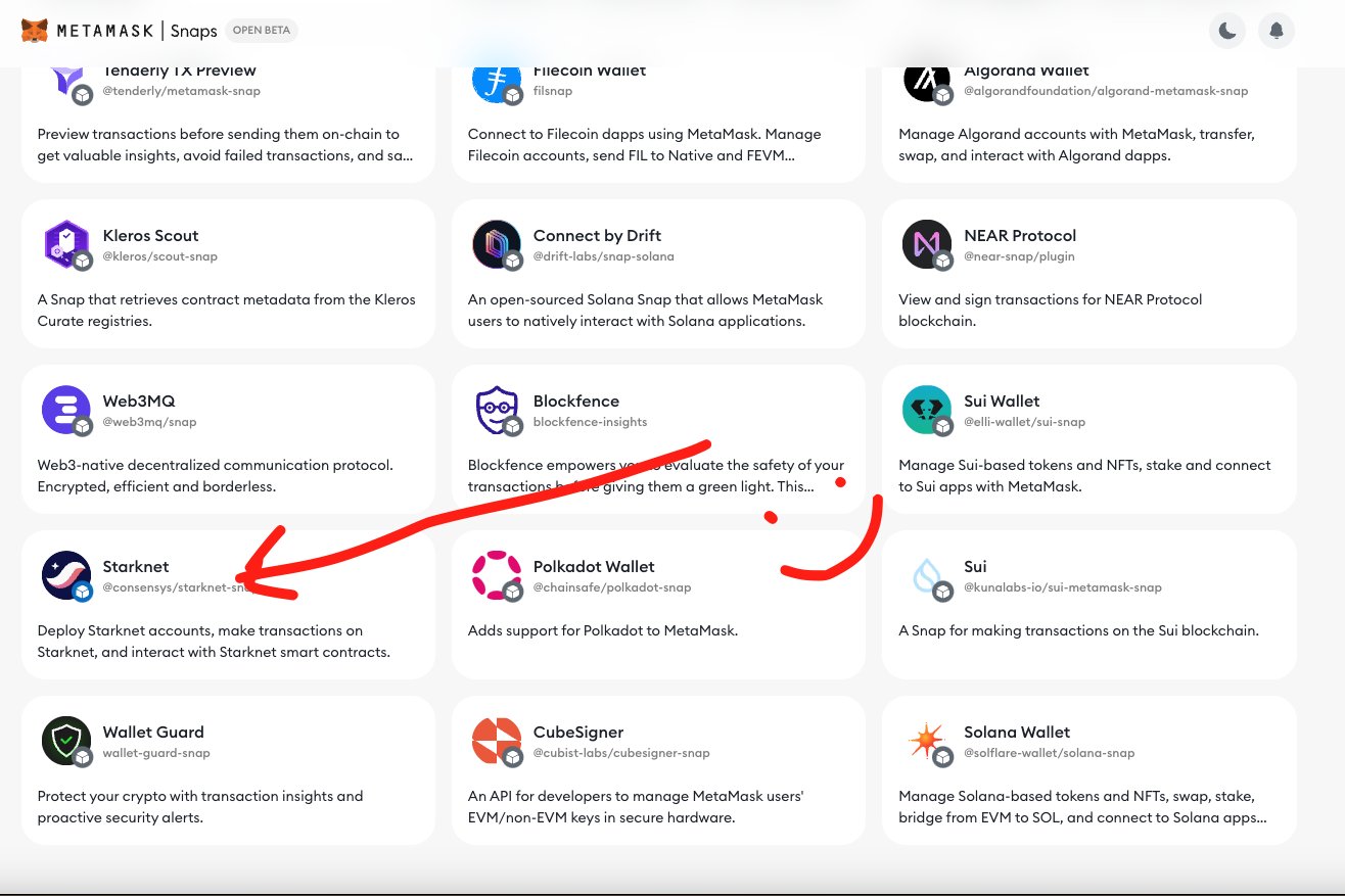 สอนใช้ Metamask Snaps และ เชนอื่นๆ เช่น Starknet, Casper, Cosmos